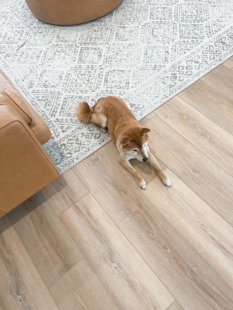 Coretec Cairo Oak Review - Oh Happy Joy!