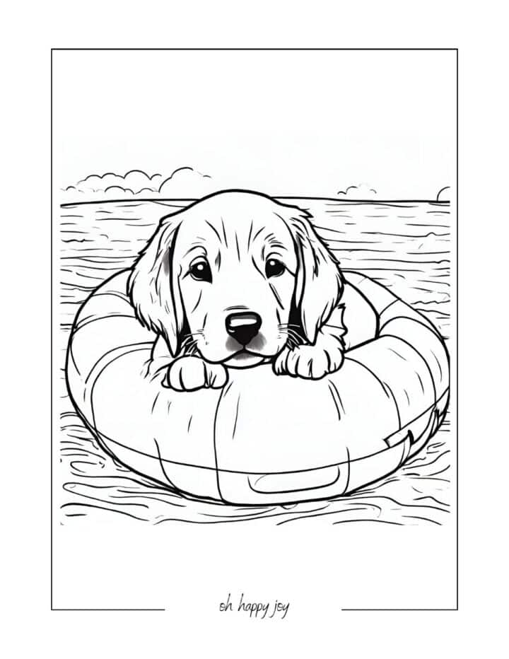 Golden Retriever Coloring Pages - Oh Happy Joy!