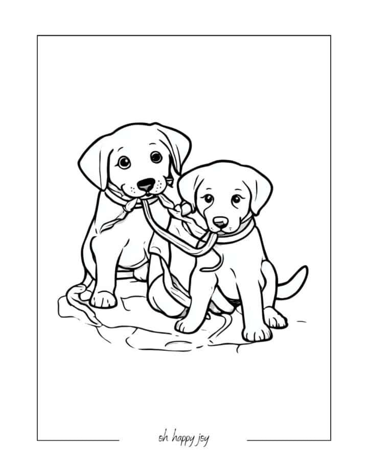 Golden Retriever Coloring Pages - Oh Happy Joy!